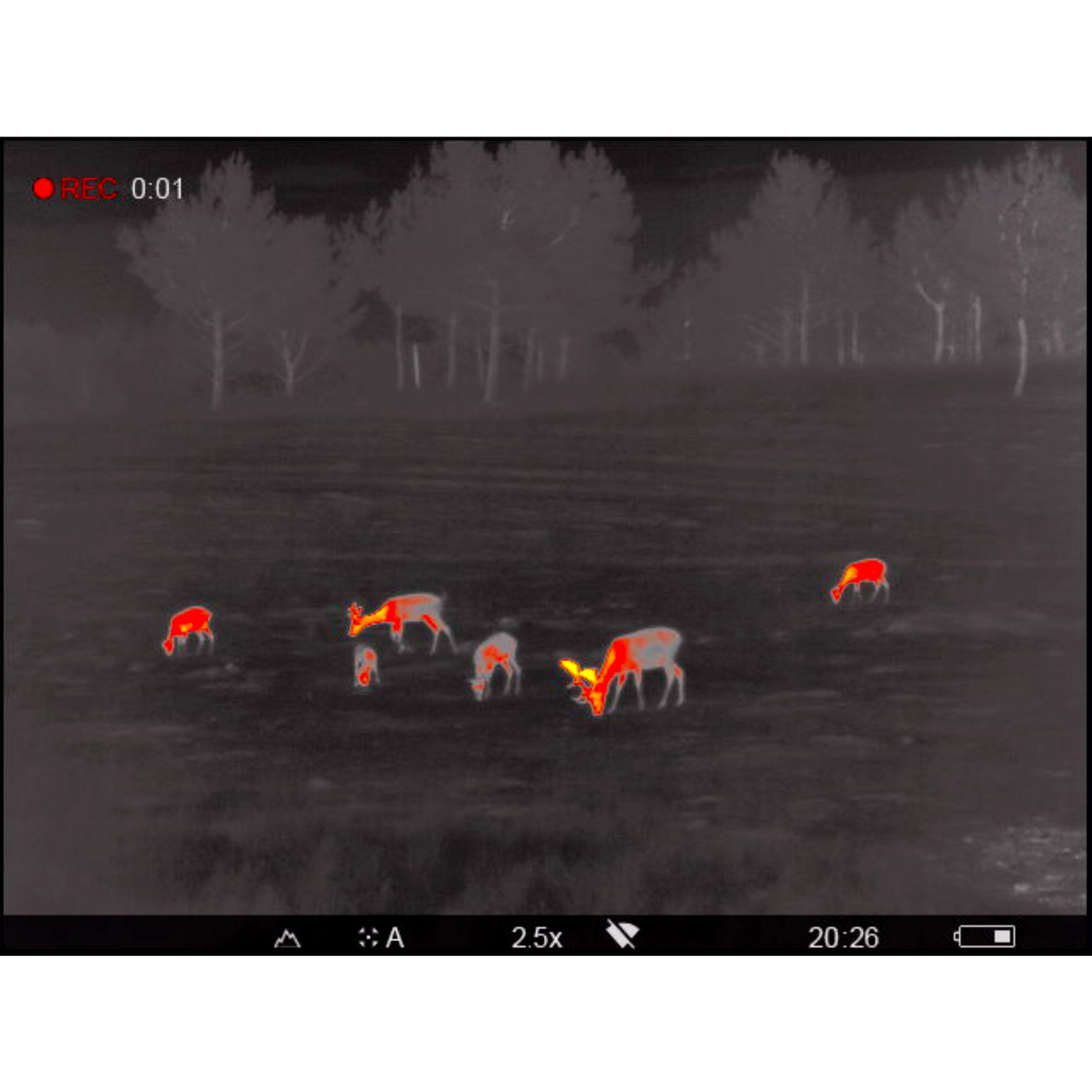 Pulsar Helion 2 XP50 2.5-20x42 Thermal Monocular (Refurbished)77402