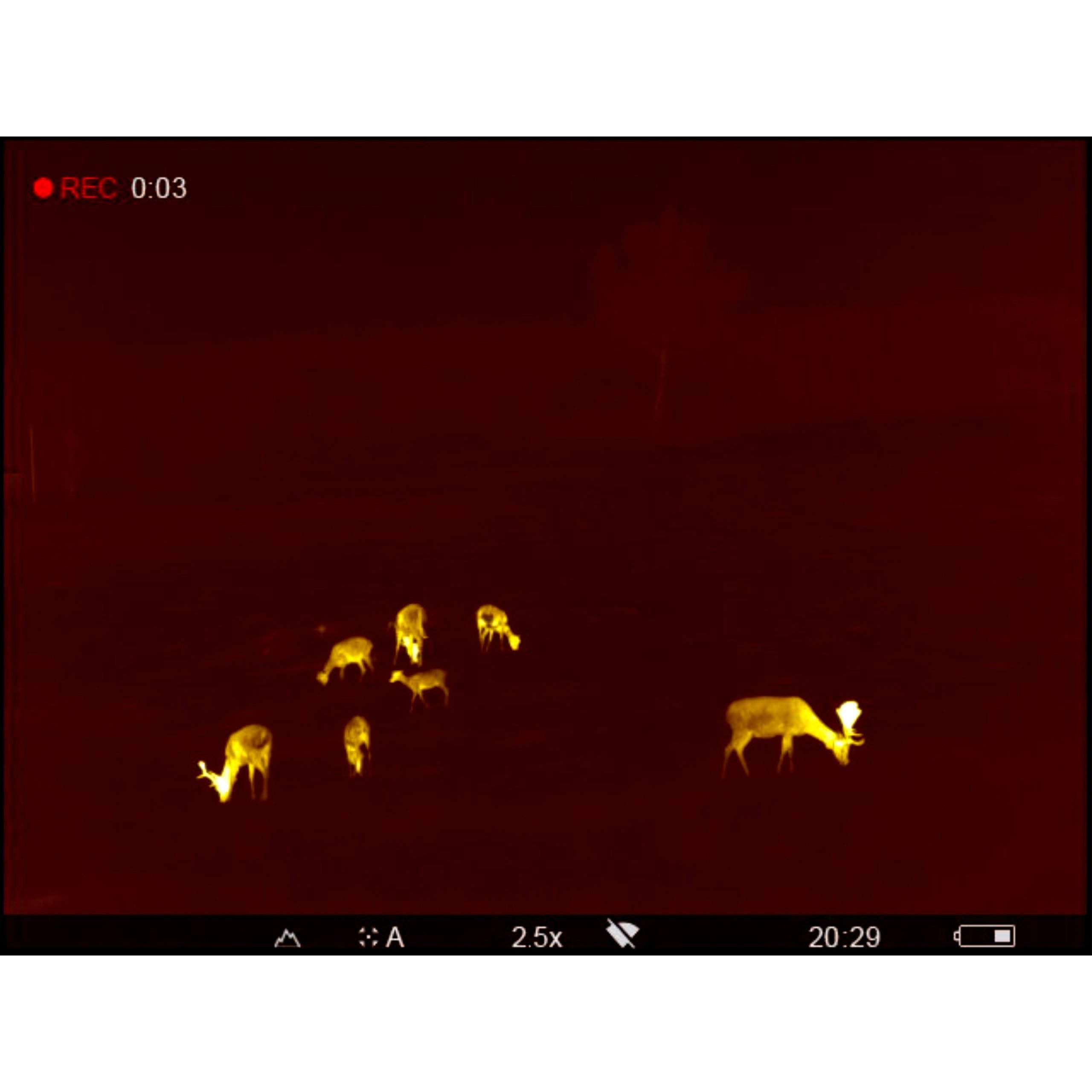 Pulsar Helion 2 XP50 2.5-20x42 Thermal Monocular (Refurbished)77402