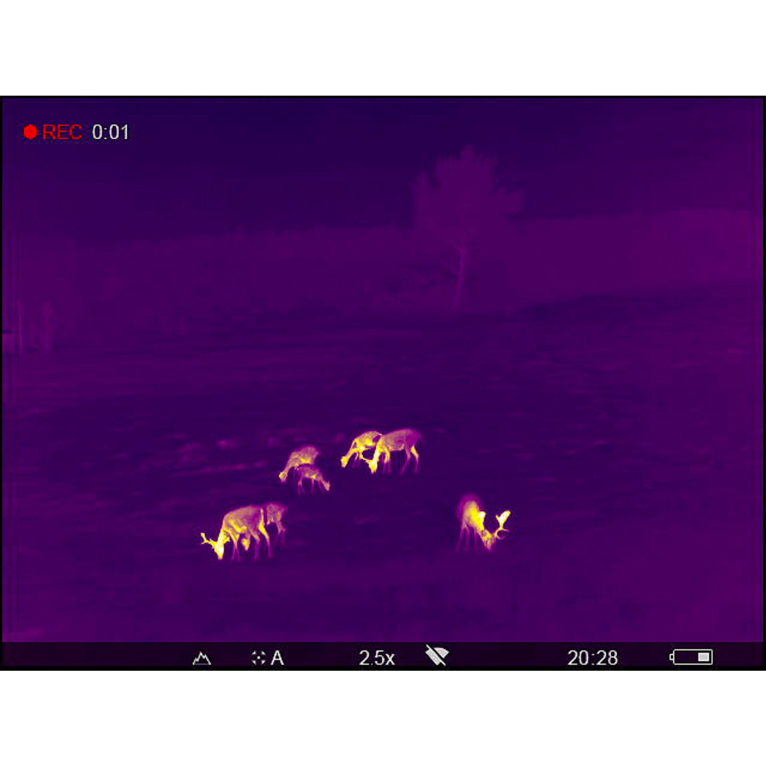 Pulsar Helion 2 XP50 2.5-20x42 Thermal Monocular (Refurbished)77402